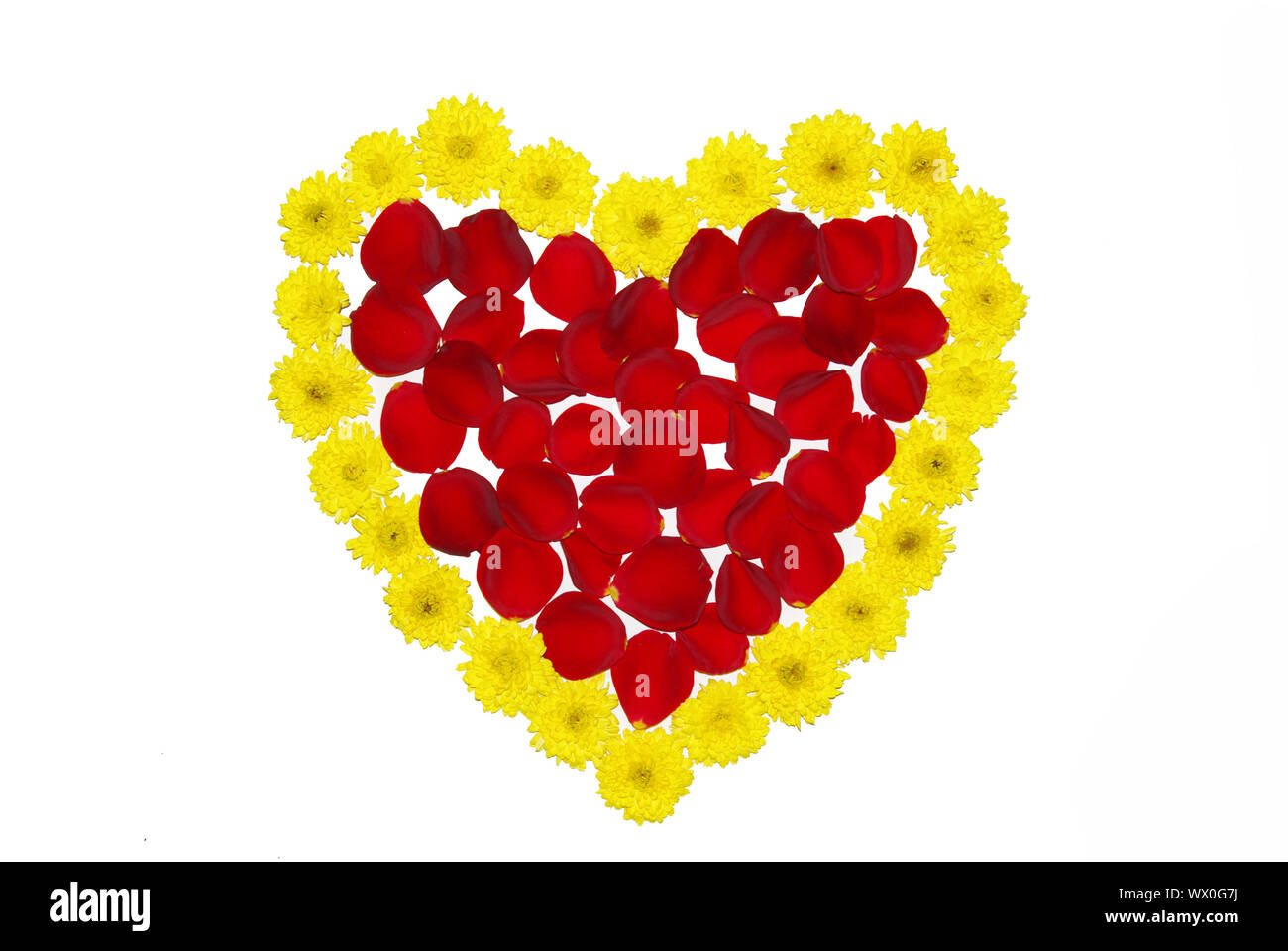 Heart laid out from flowers isolated on white Stock Photo - Alamy