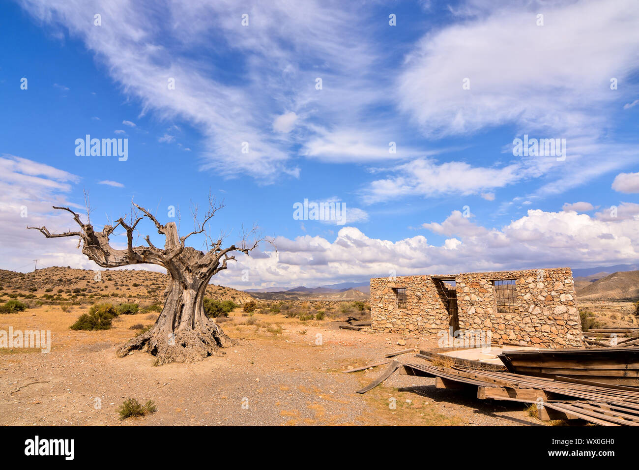 Dry Desert Landscape Stock Photo - Alamy