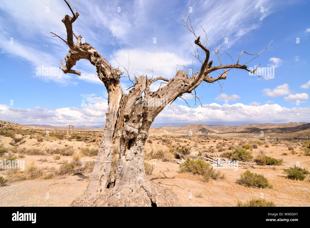 Dry Desert Landscape Stock Photo - Alamy
