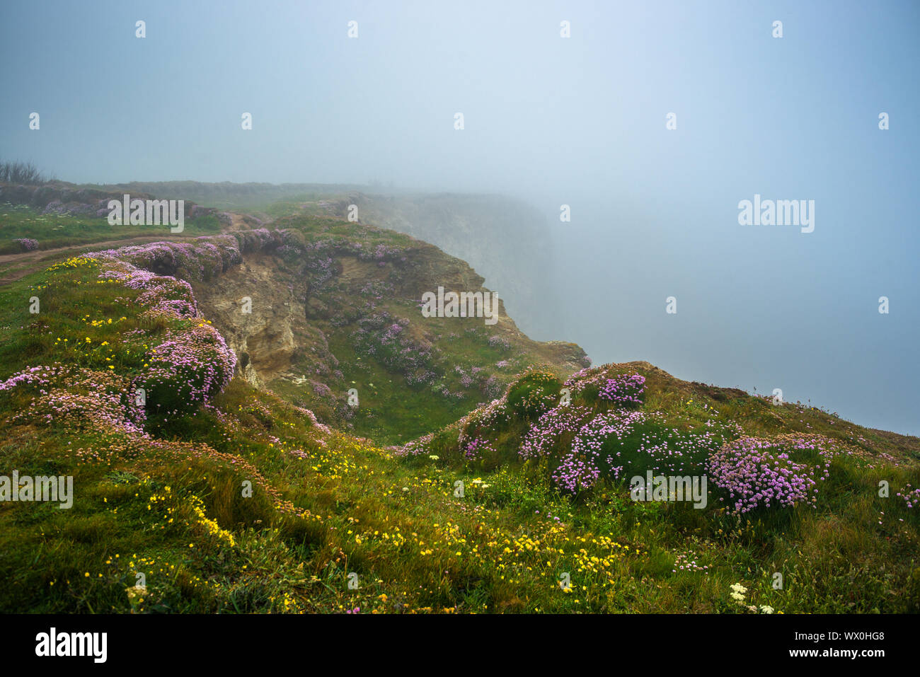 Bedruthan Steps, near Newquay, Cornwall, England, Great Britain, UK ...