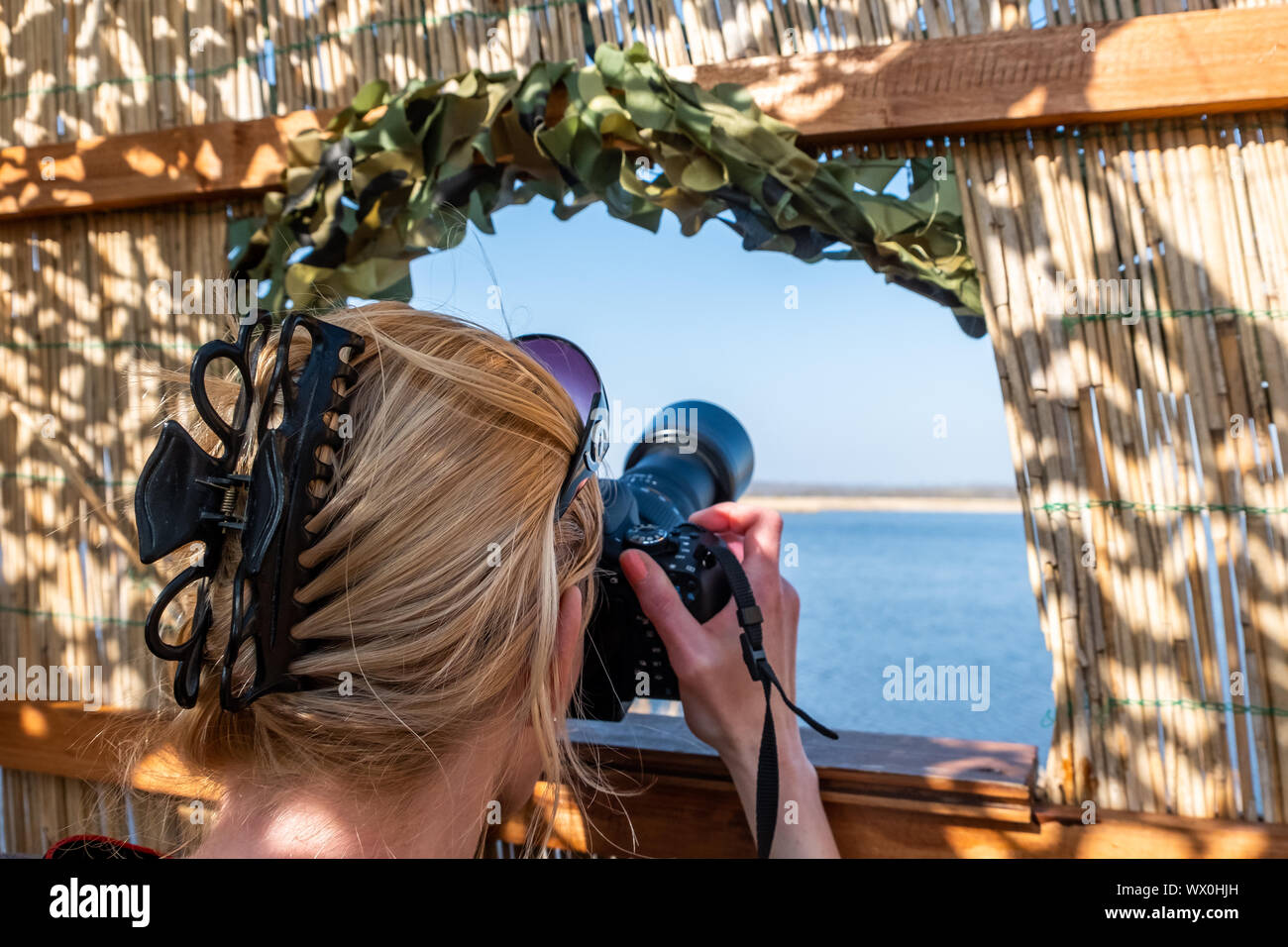 Nature photography photography from the observation stand Stock Photo ...