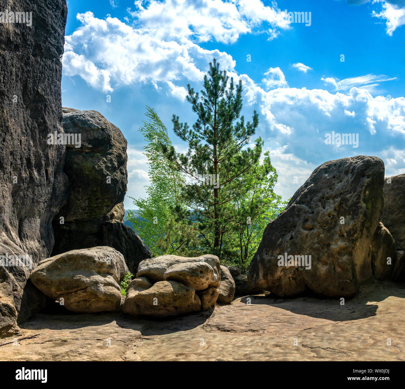 Rock and tree on the plateau of the Pfaff Stone in Saxony Stock Photo ...