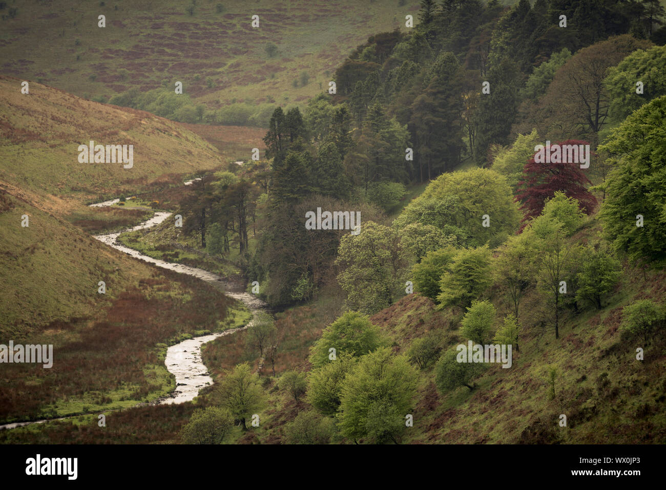 Simonsbath hi-res stock photography and images - Alamy