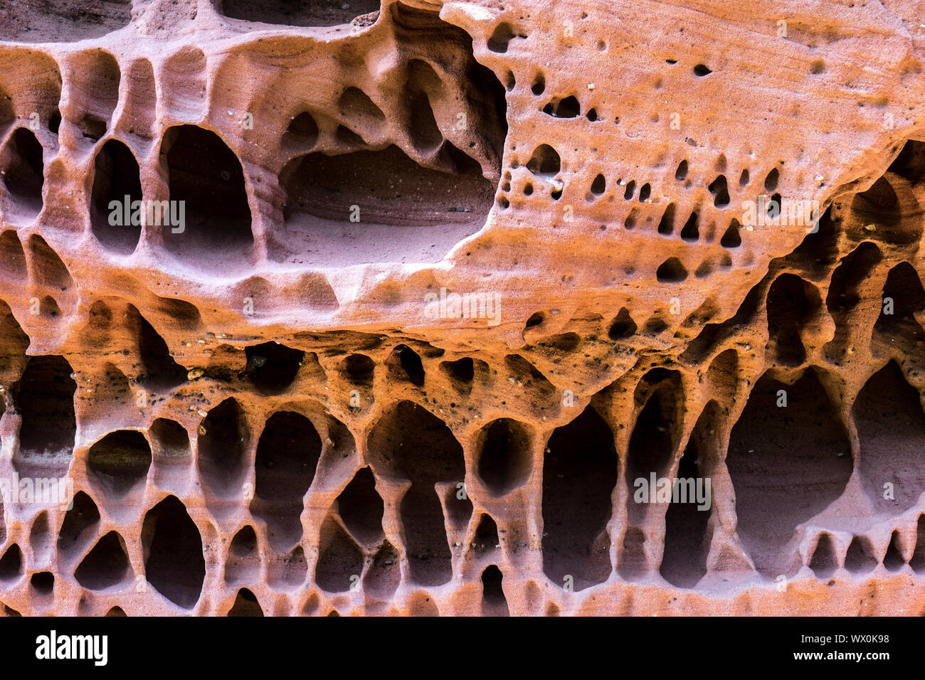 Sandstone Rocks in Palatine Stock Photo - Alamy