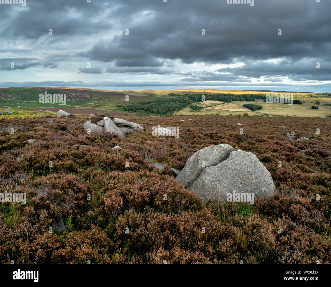 Rock and heather moorland, Surprise View, Peak District National Park ...