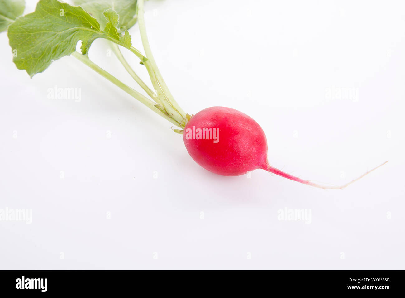 fresh red radish isolated on white background Stock Photo - Alamy