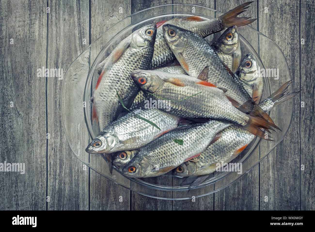Clean fish table hi-res stock photography and images - Alamy