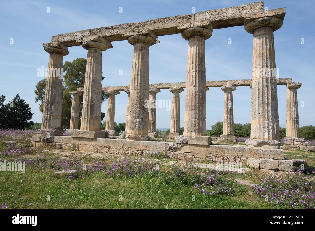 Archaeological site site of metaponto hi-res stock photography and ...