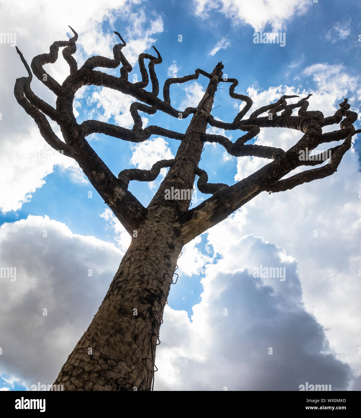 Tree of life Stock Photo - Alamy