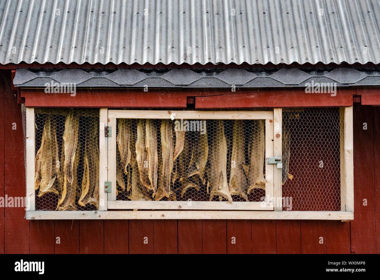 Hanging Dried Fish High Resolution Stock Photography and Images - Alamy