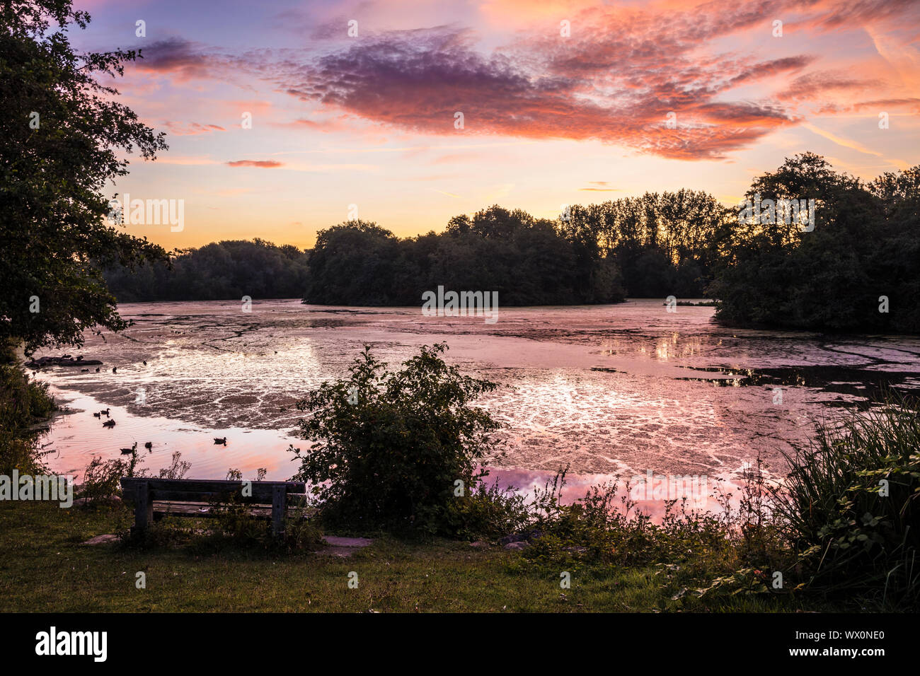 Sunrise over a lagoon hi-res stock photography and images - Alamy