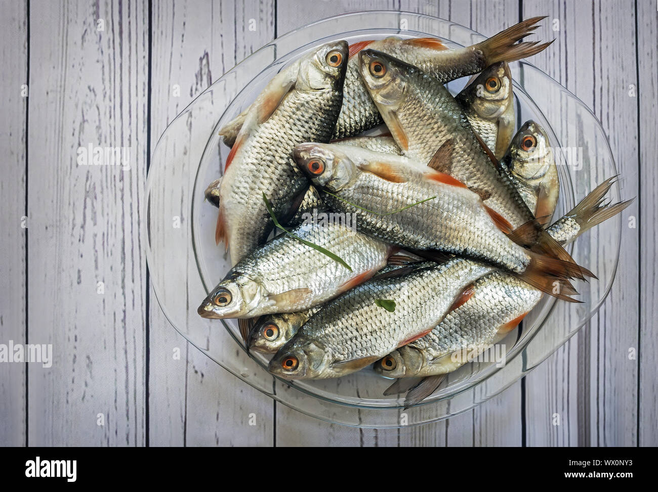 Fresh fish on the table in a glass dish Stock Photo - Alamy
