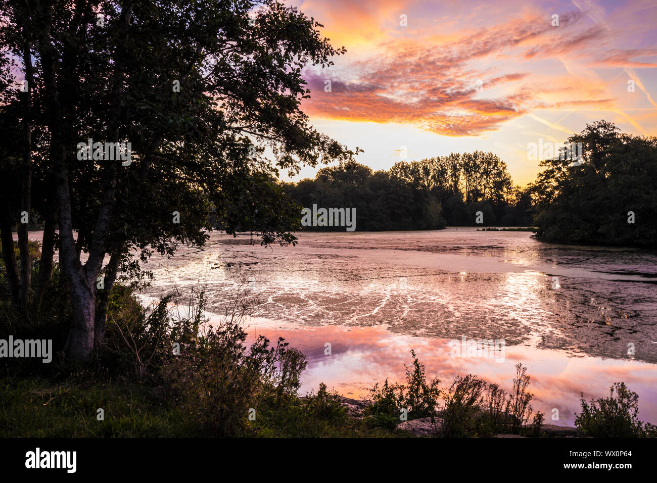 Sunrise over a small lake known as Liden Lagoon in Swindon, Wiltshire ...