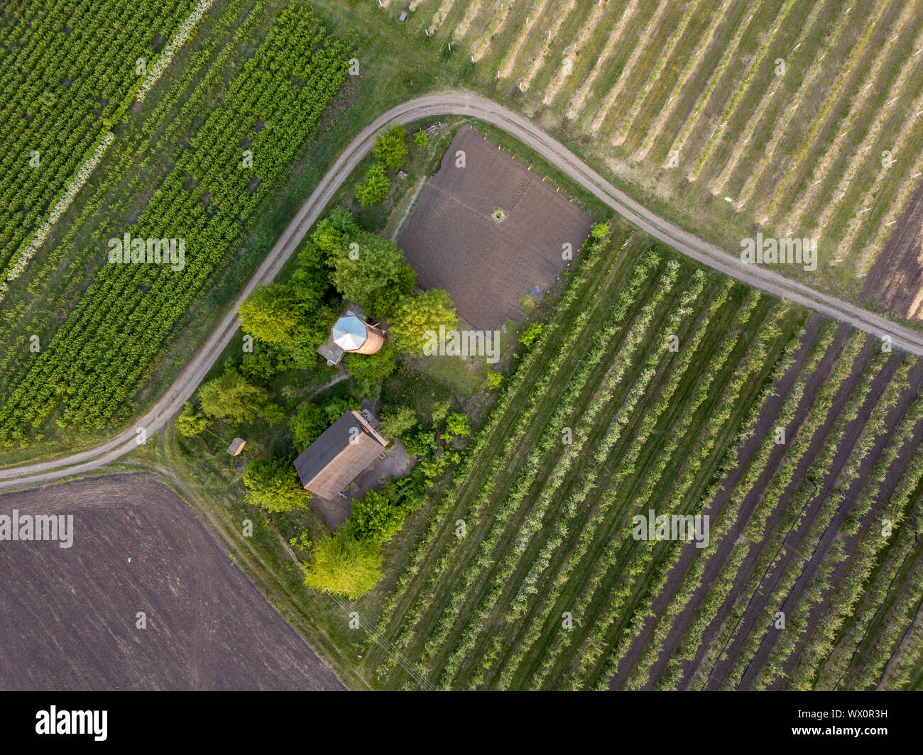 Aerial view planting young trees for planting and gardening. Photo from ...