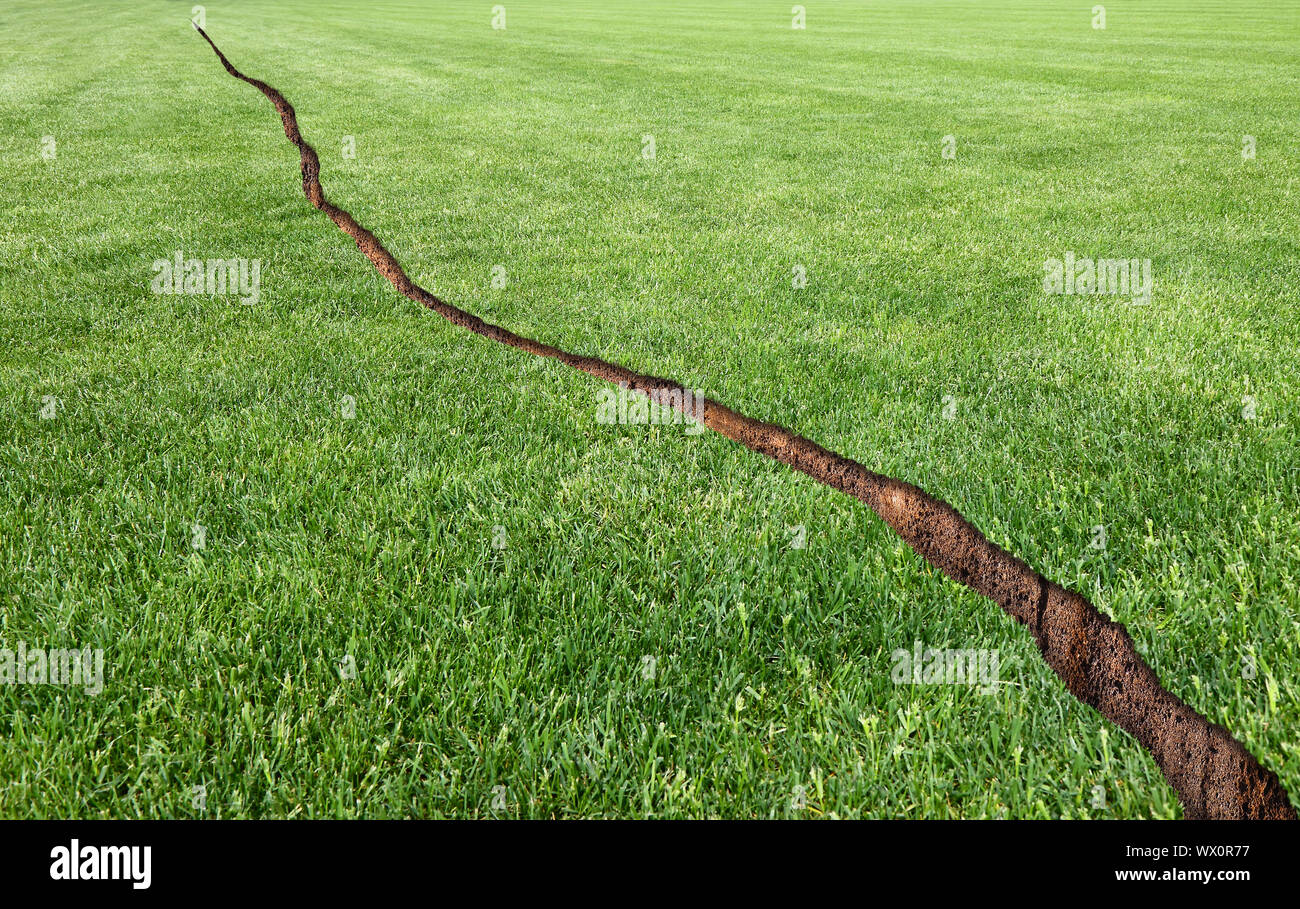 Detail of a beautiful green mowed lawn with a diagonal crack - concept ...