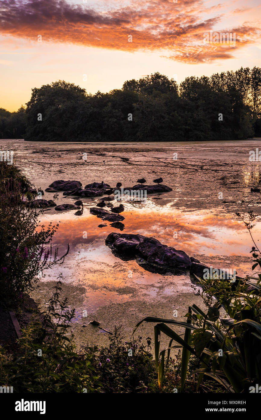 Sunrise over a small lake known as Liden Lagoon in Swindon, Wiltshire ...