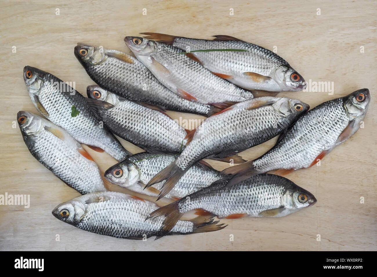 Close up river plate hi-res stock photography and images - Alamy