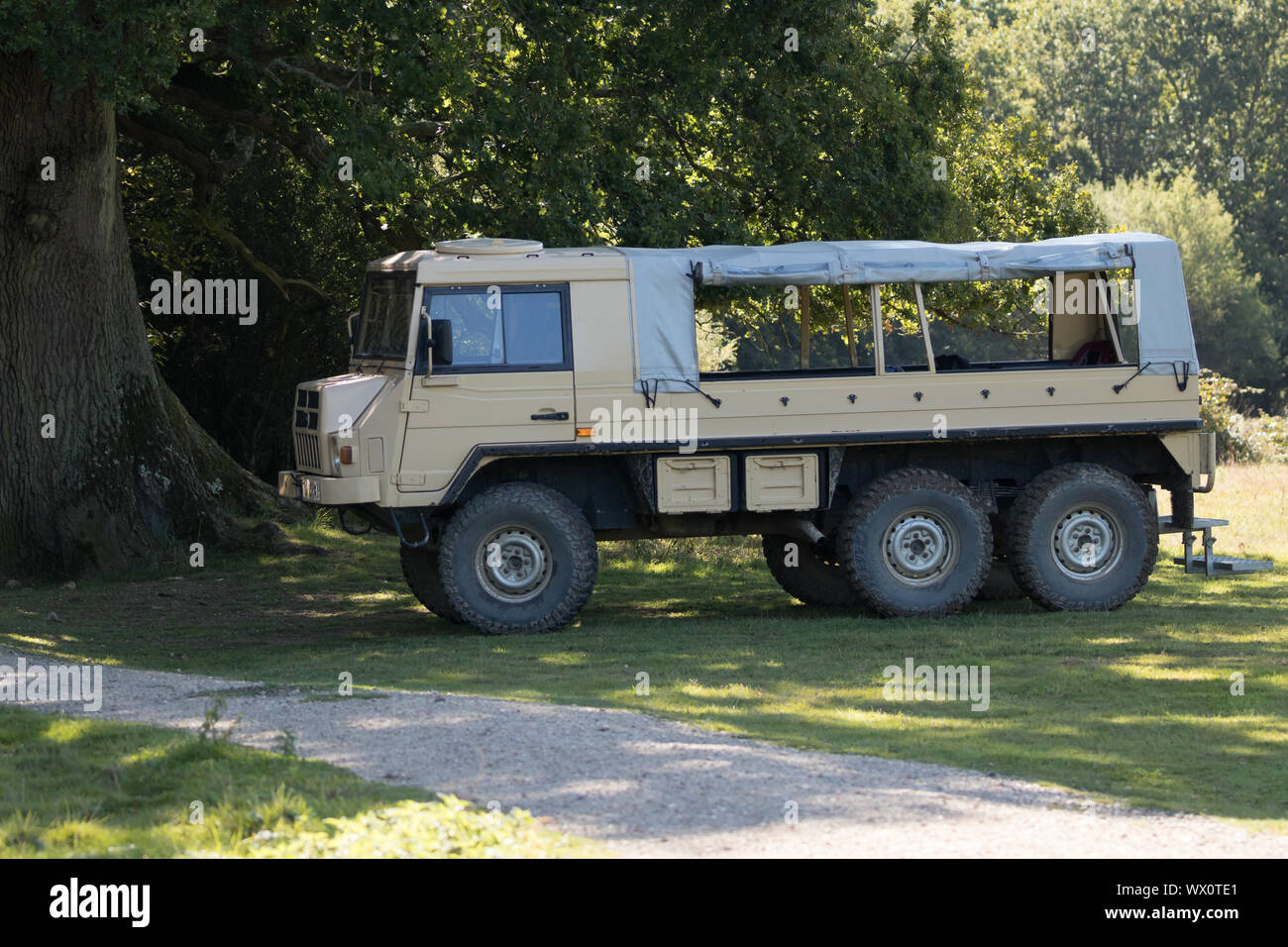 Pinzgauer all-terrain vehicle tour of the Knepp Estate. Sussex, UK ...