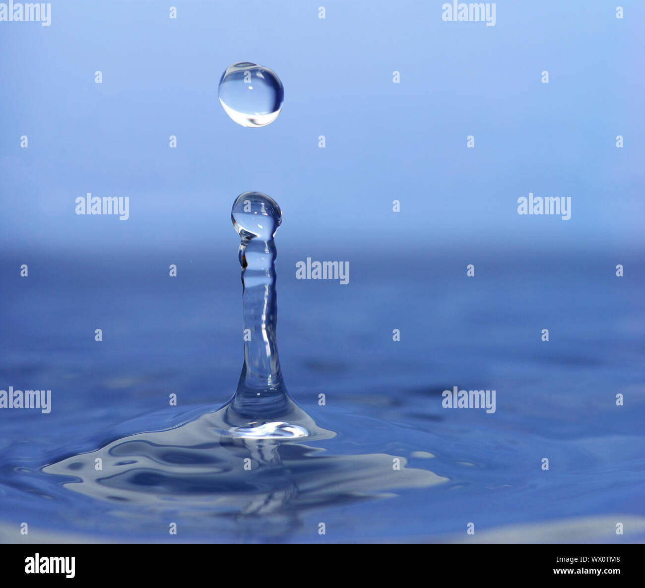 The round transparent drop of water falls downward Stock Photo - Alamy