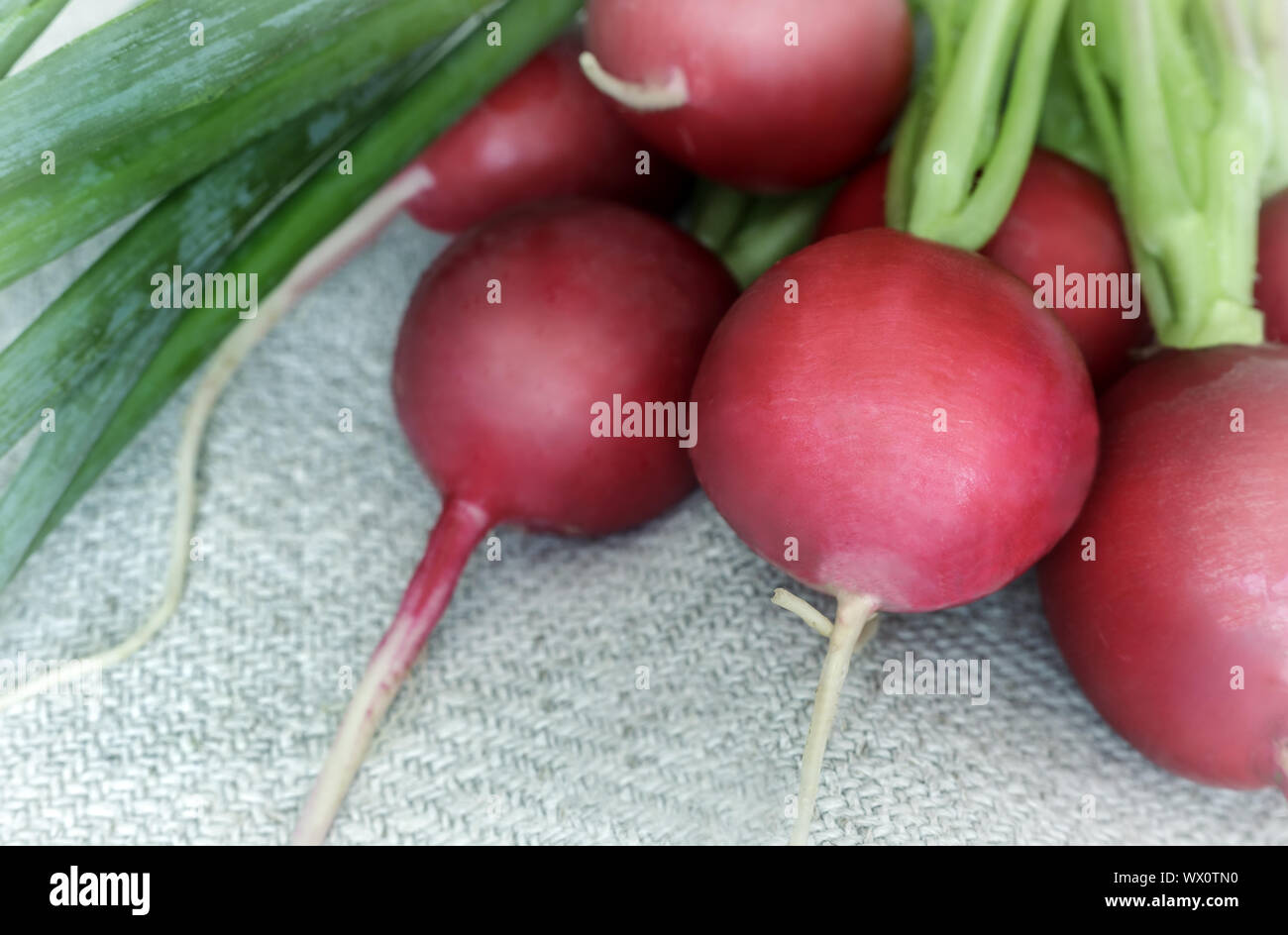 Large radishes hi-res stock photography and images - Alamy