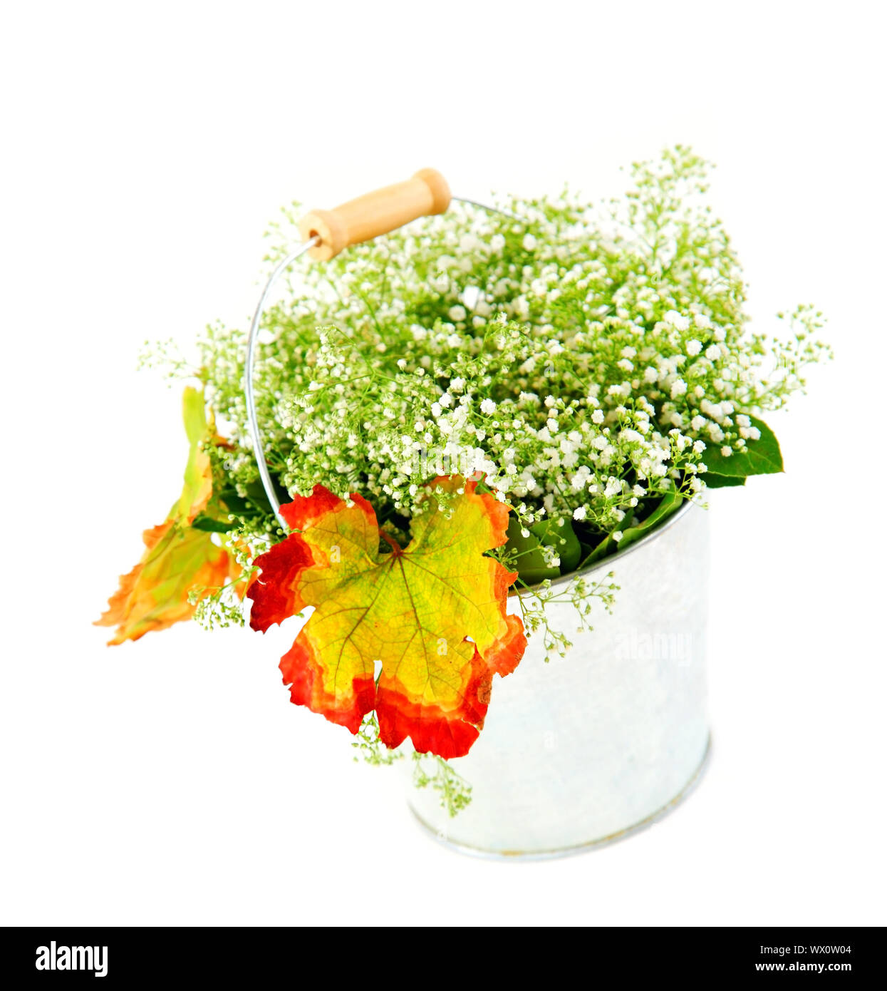 Autumn leaves in the pot isolated on white Stock Photo - Alamy