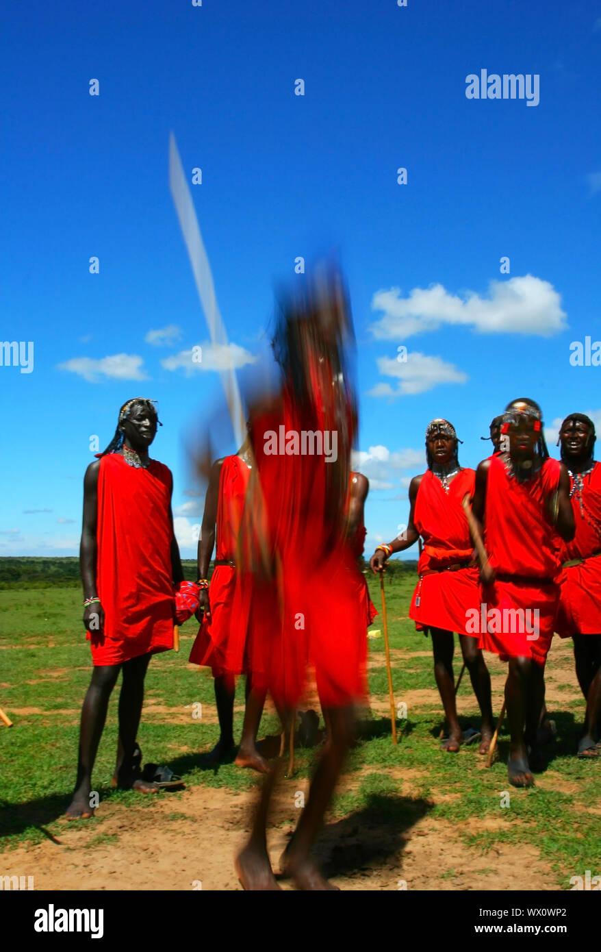 Masai warrior dancing traditional dance. Africa. Kenya. Masai Mara ...