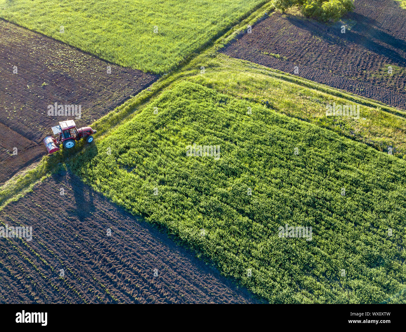 Aerial view from the drone, a bird's eye view of agricultural fields ...