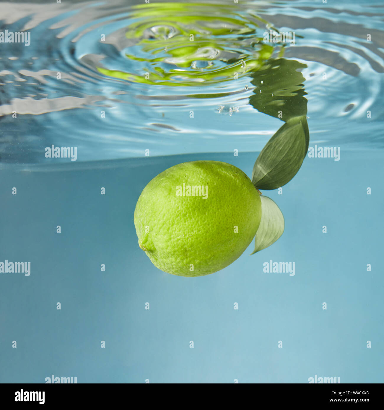 Falling leaves motion hi-res stock photography and images - Alamy