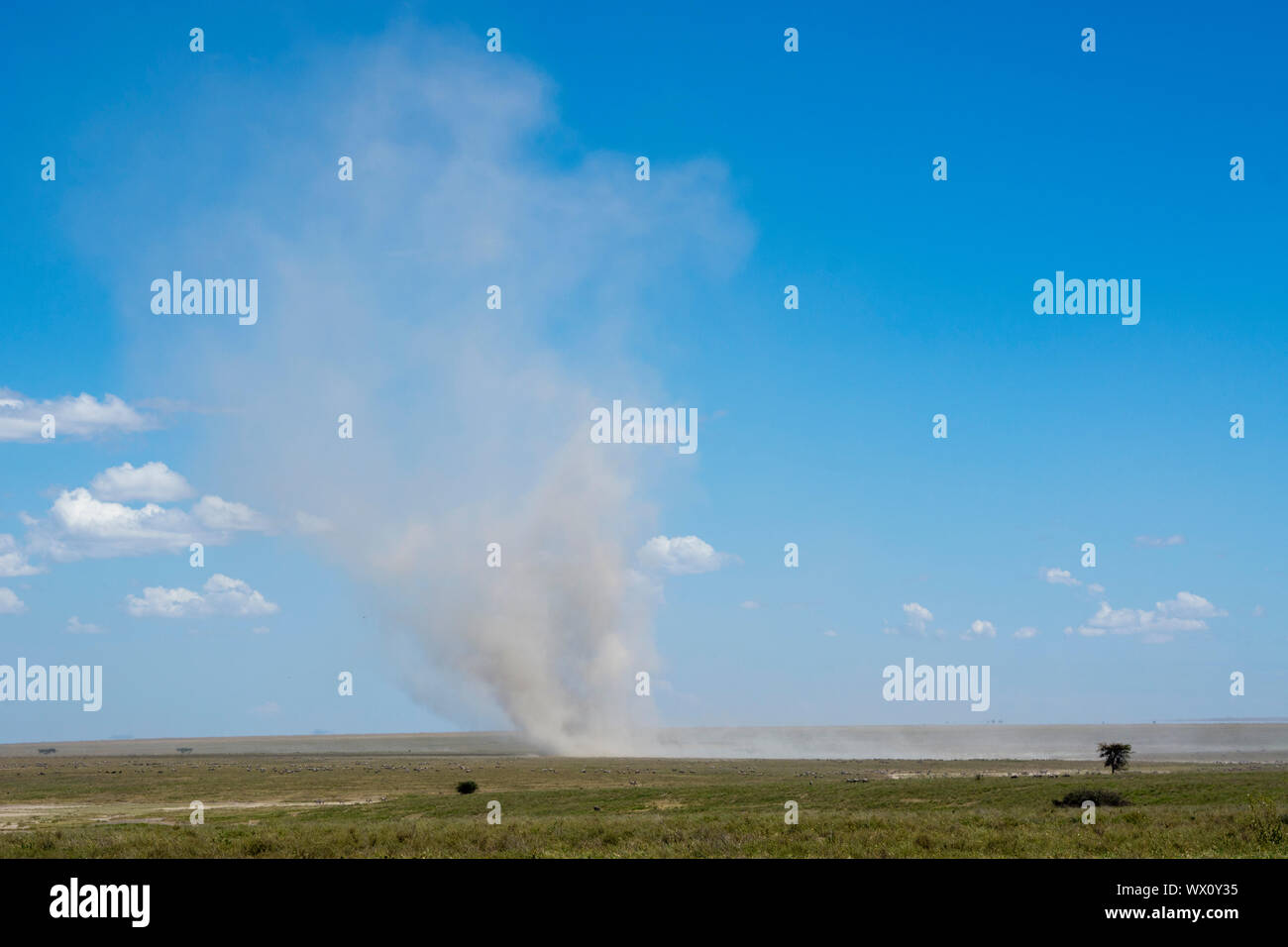 Dust devil hi-res stock photography and images - Alamy