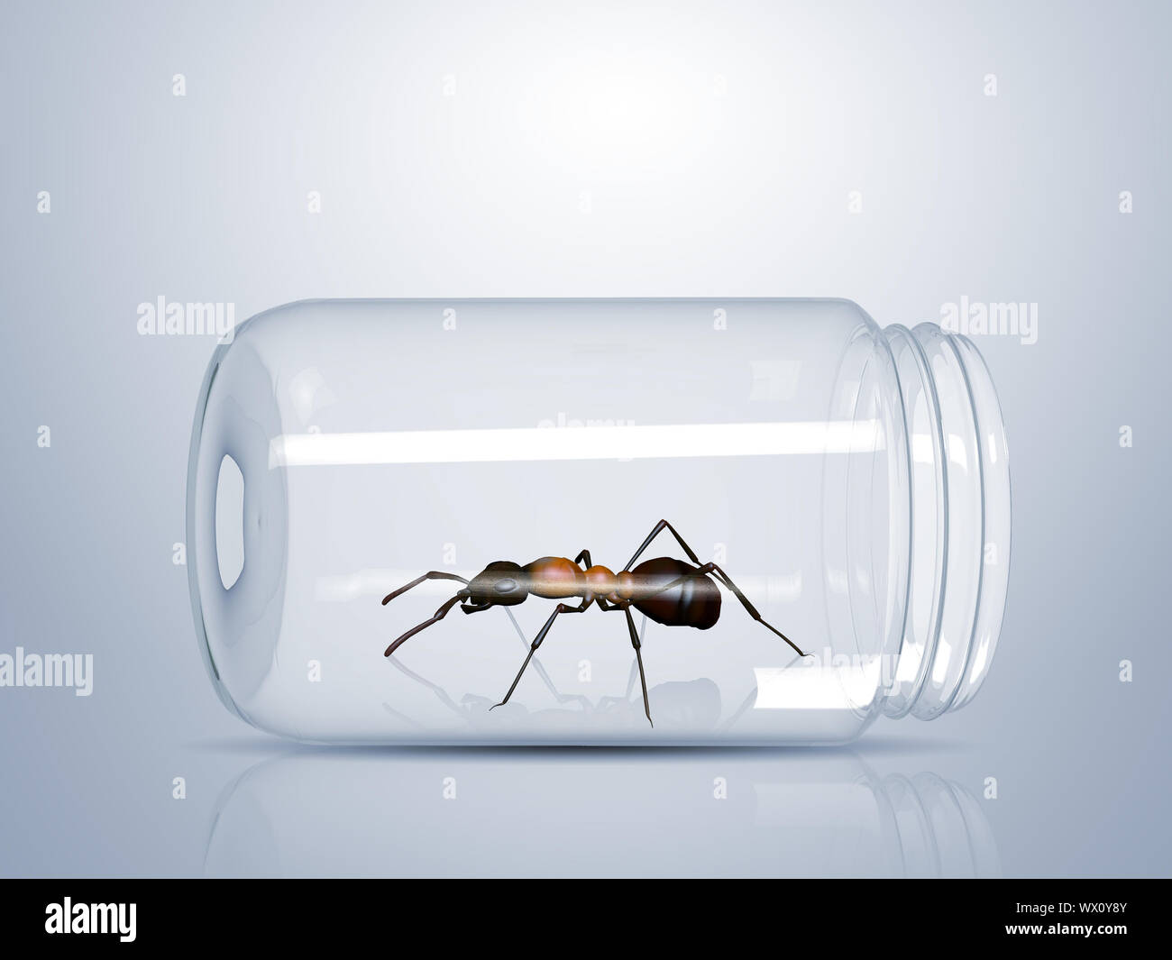 Anthill drawing hi-res stock photography and images - Alamy