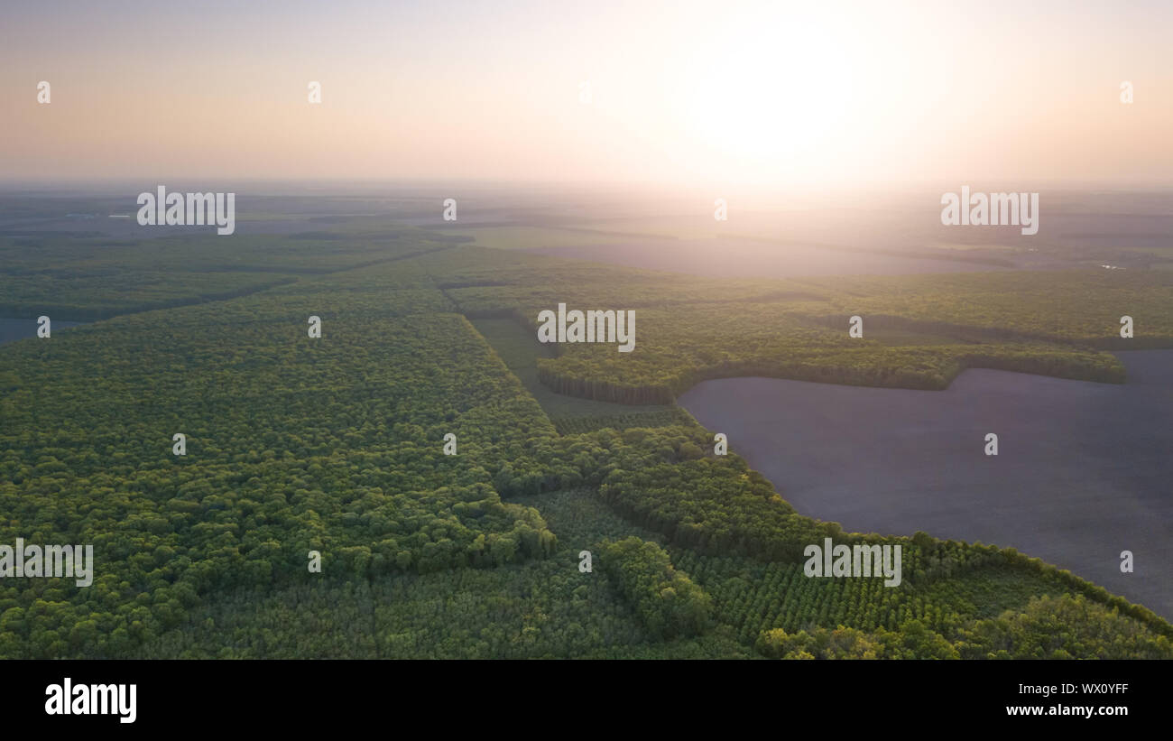 Panoramic aerial view of a lake among the forests on the sunset, top ...