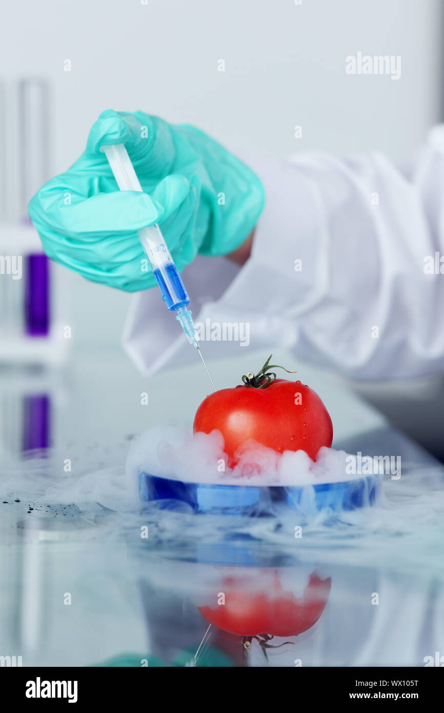 tomato DNA change microbiology experiment Stock Photo - Alamy