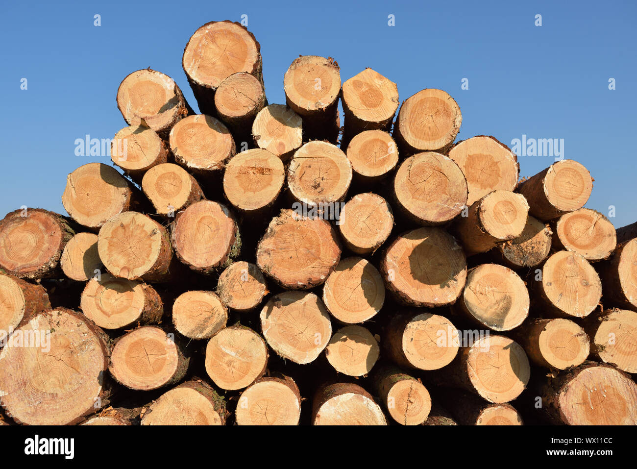 Logging wall hi-res stock photography and images - Alamy