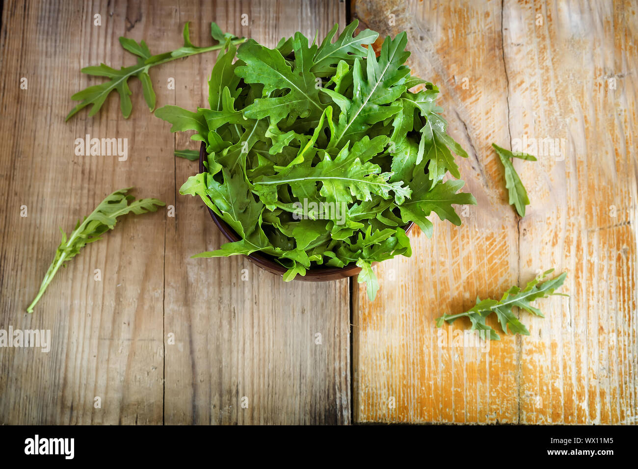 Vegetable species hi-res stock photography and images - Alamy