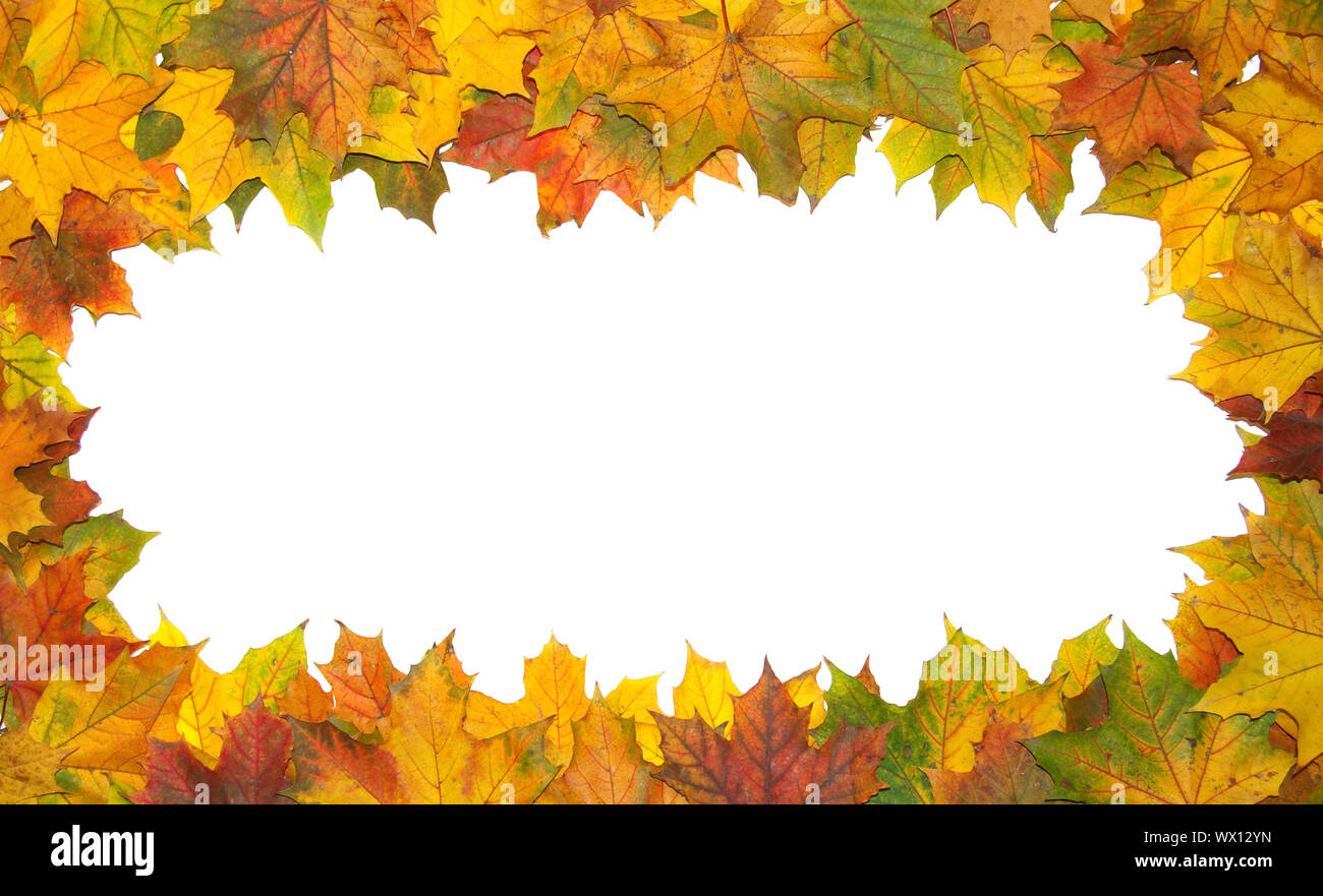 Golden leaves frames decoration hi-res stock photography and images - Alamy