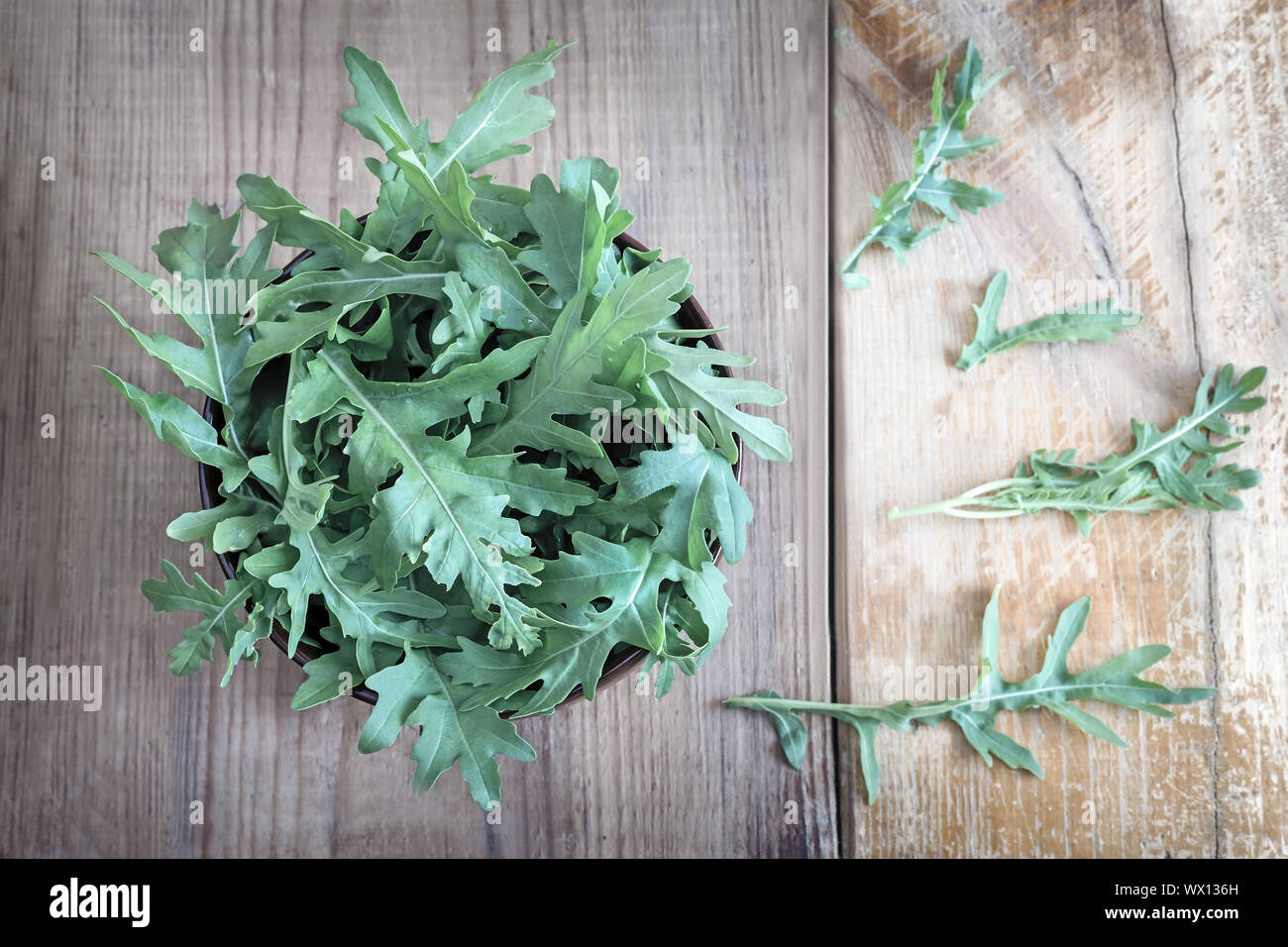 Arugula plant hi-res stock photography and images - Alamy