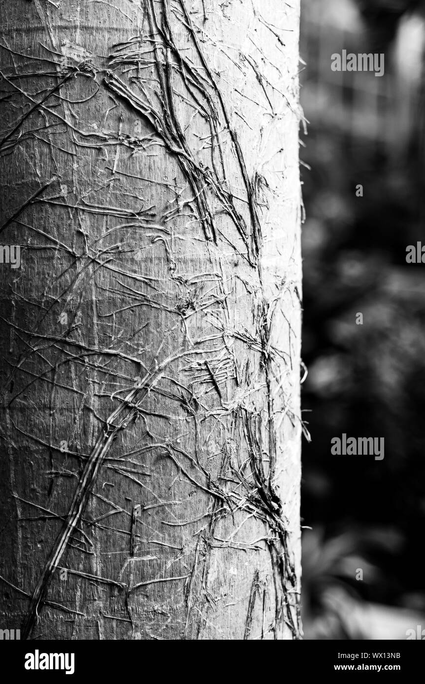 Washington DC Travel Abstract Aesthetic Mood Shots Stock Photo - Alamy