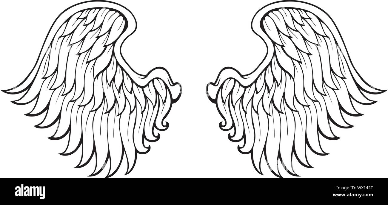 Abstract image with wings 4 Stock Vector Image & Art - Alamy