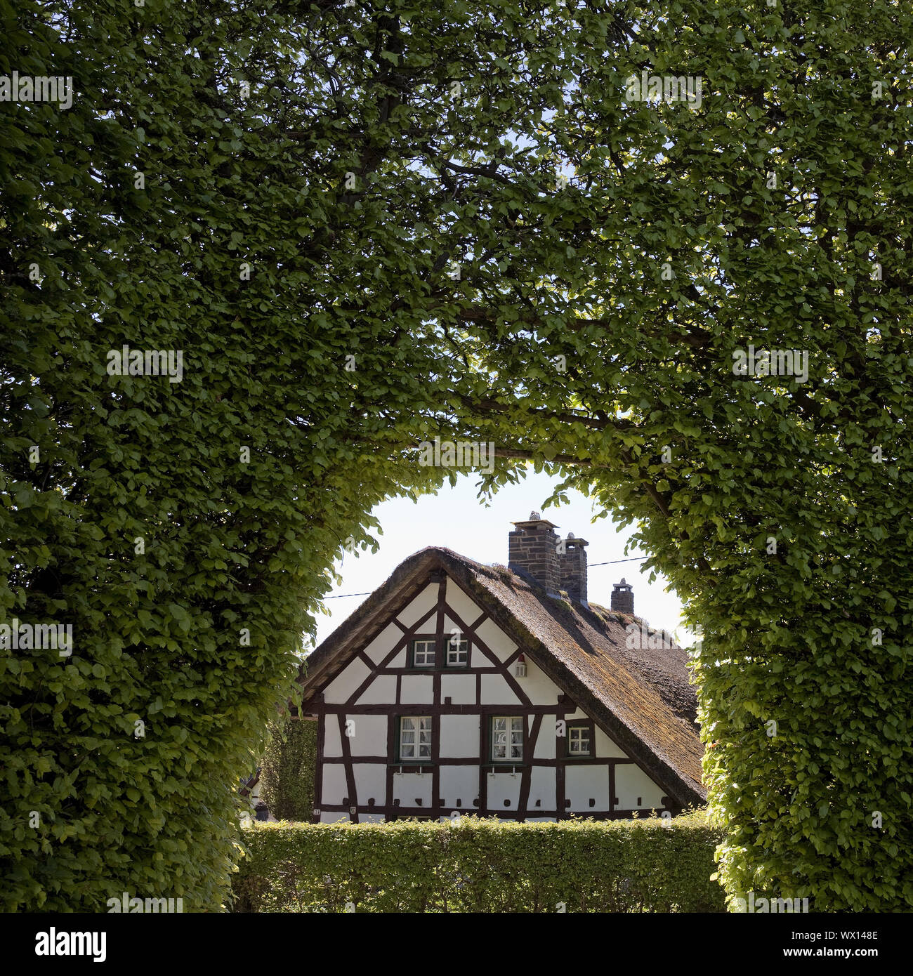half-timbered house behind metre-high beech hedge with archway ...
