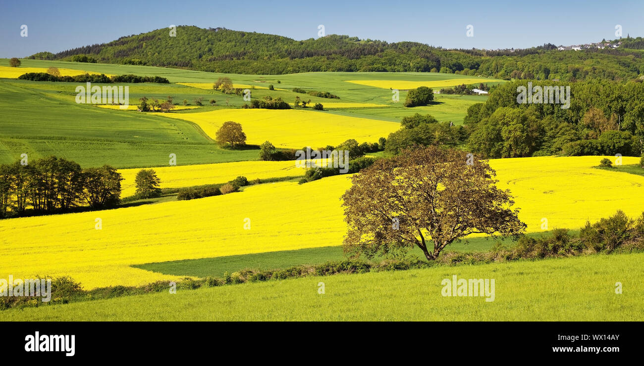 Mendig eifel hi-res stock photography and images - Alamy