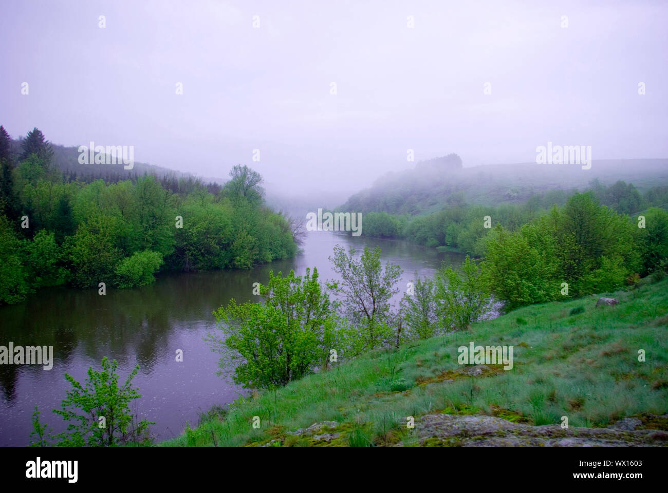 river among the wonderful forest Stock Photo - Alamy
