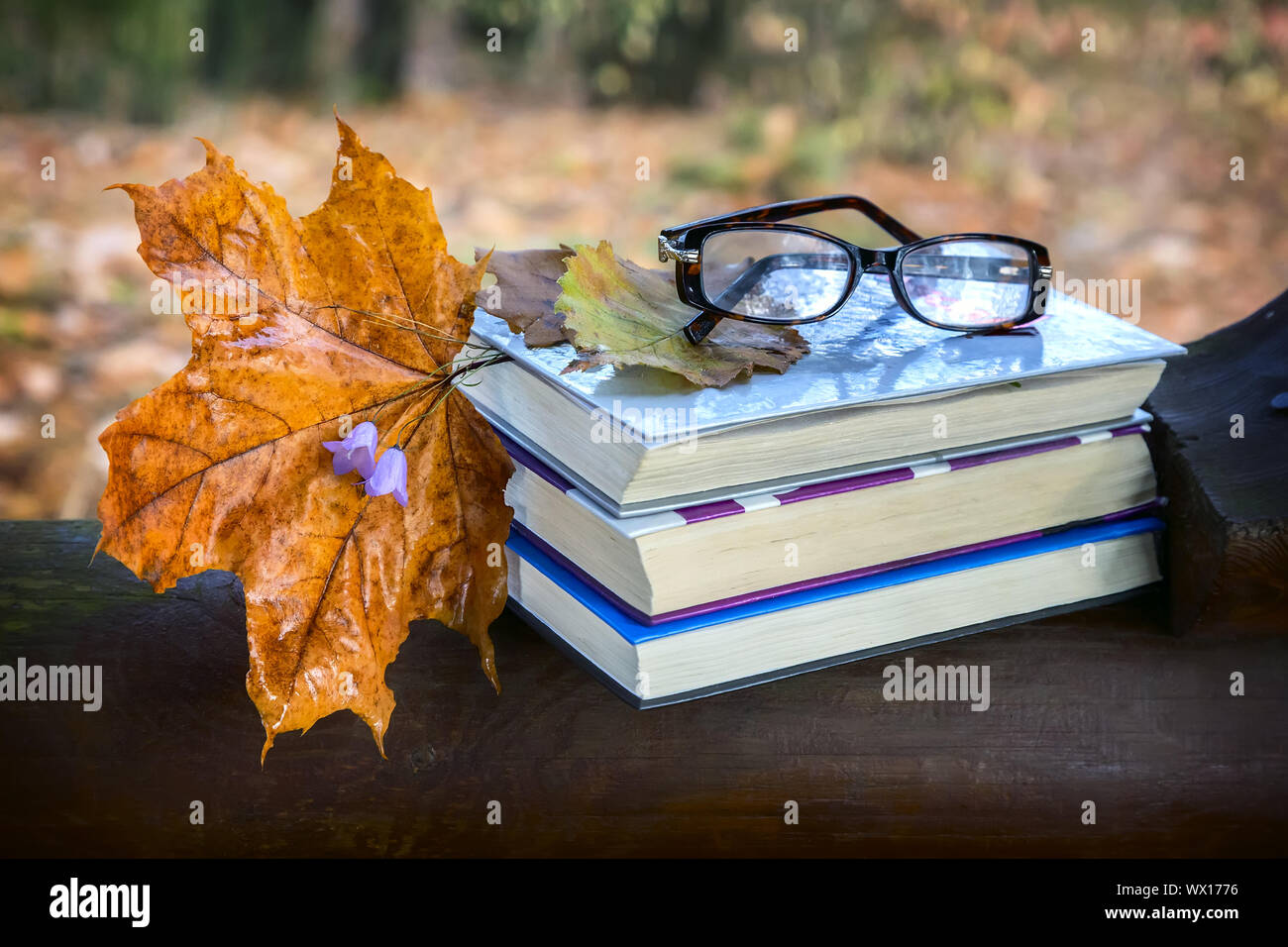 Book and fallen leaves on a Park bench Stock Photo - Alamy