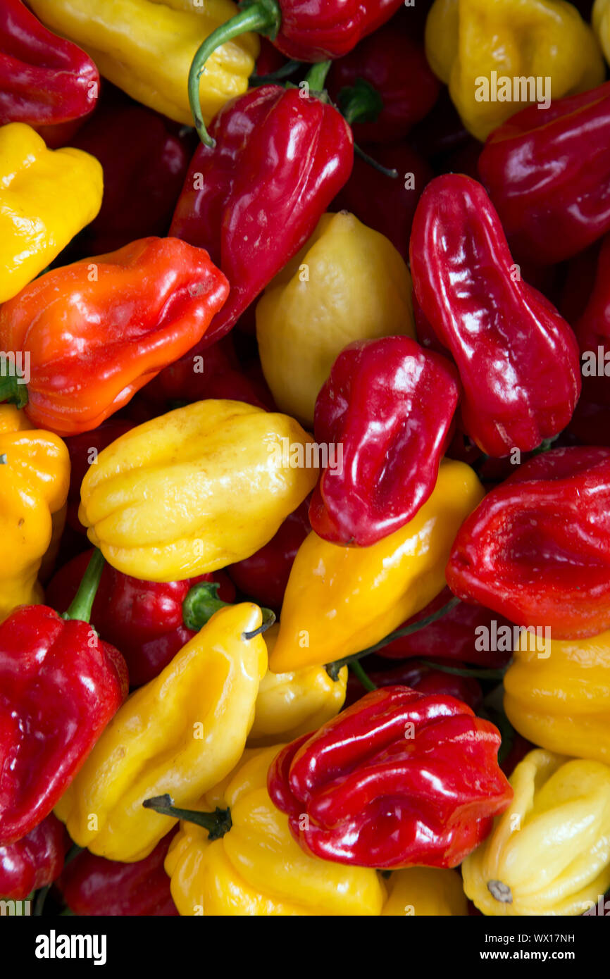 Orange chilli hi-res stock photography and images - Alamy