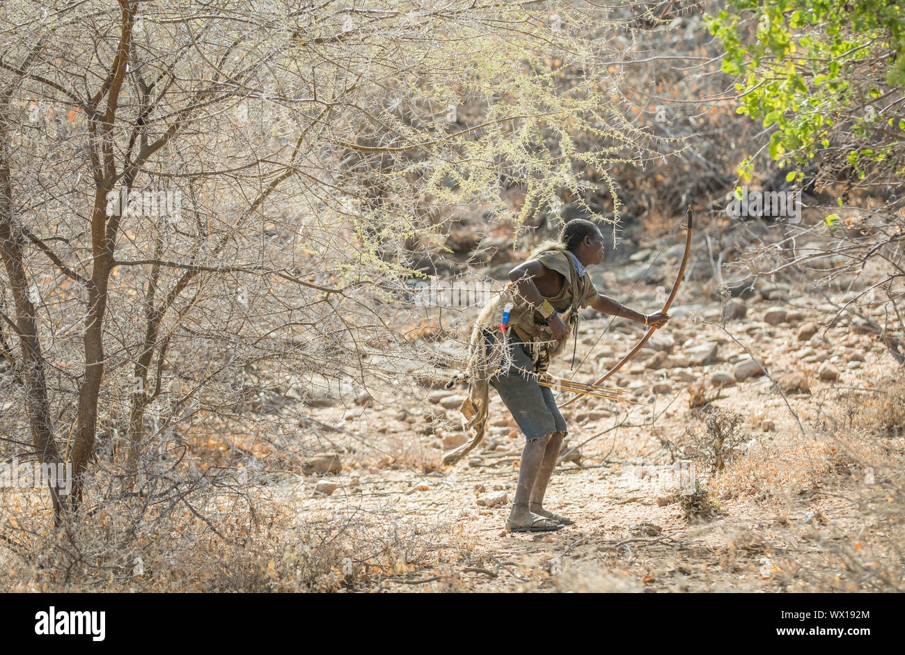 Bushman hunting hi-res stock photography and images - Alamy