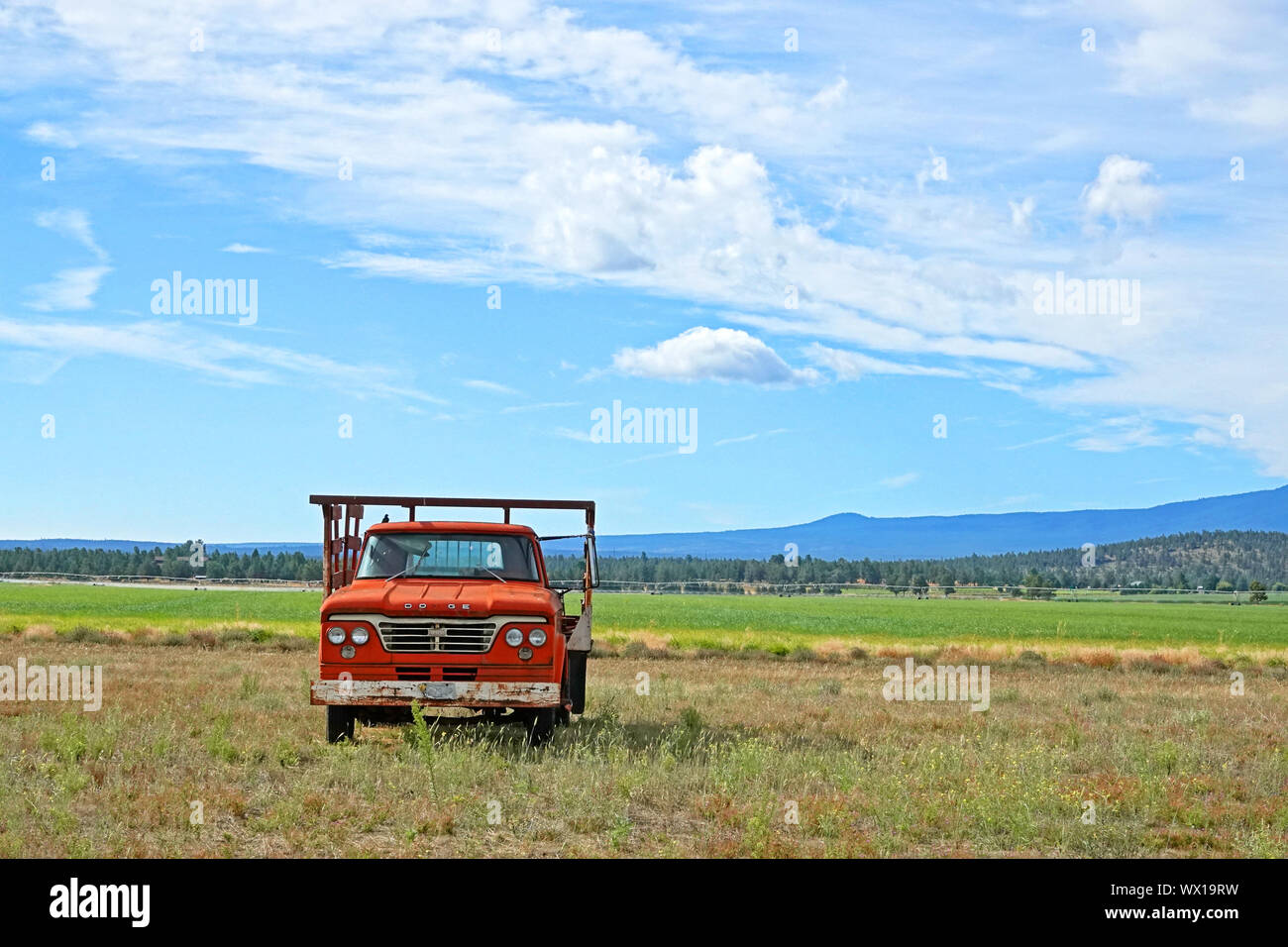 Classic dodge truck hi-res stock photography and images - Alamy