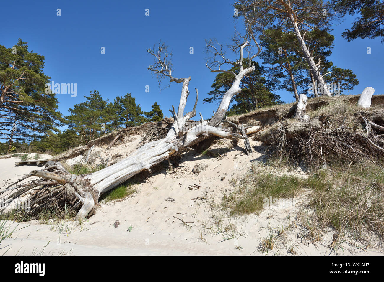 Natural erosion hi-res stock photography and images - Alamy