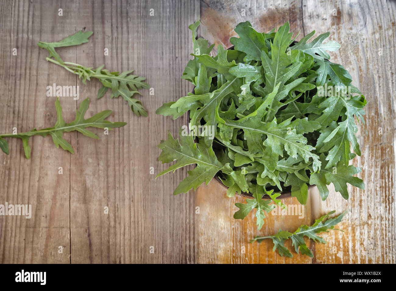 Arugula plant hi-res stock photography and images - Alamy