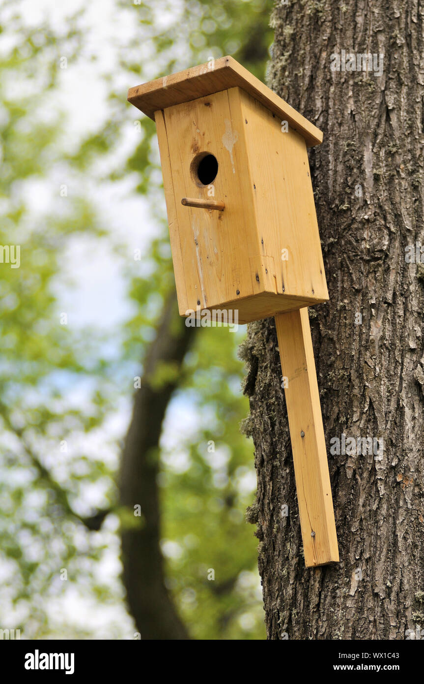 Nesting box birdhouse for birds on the tree Stock Photo - Alamy