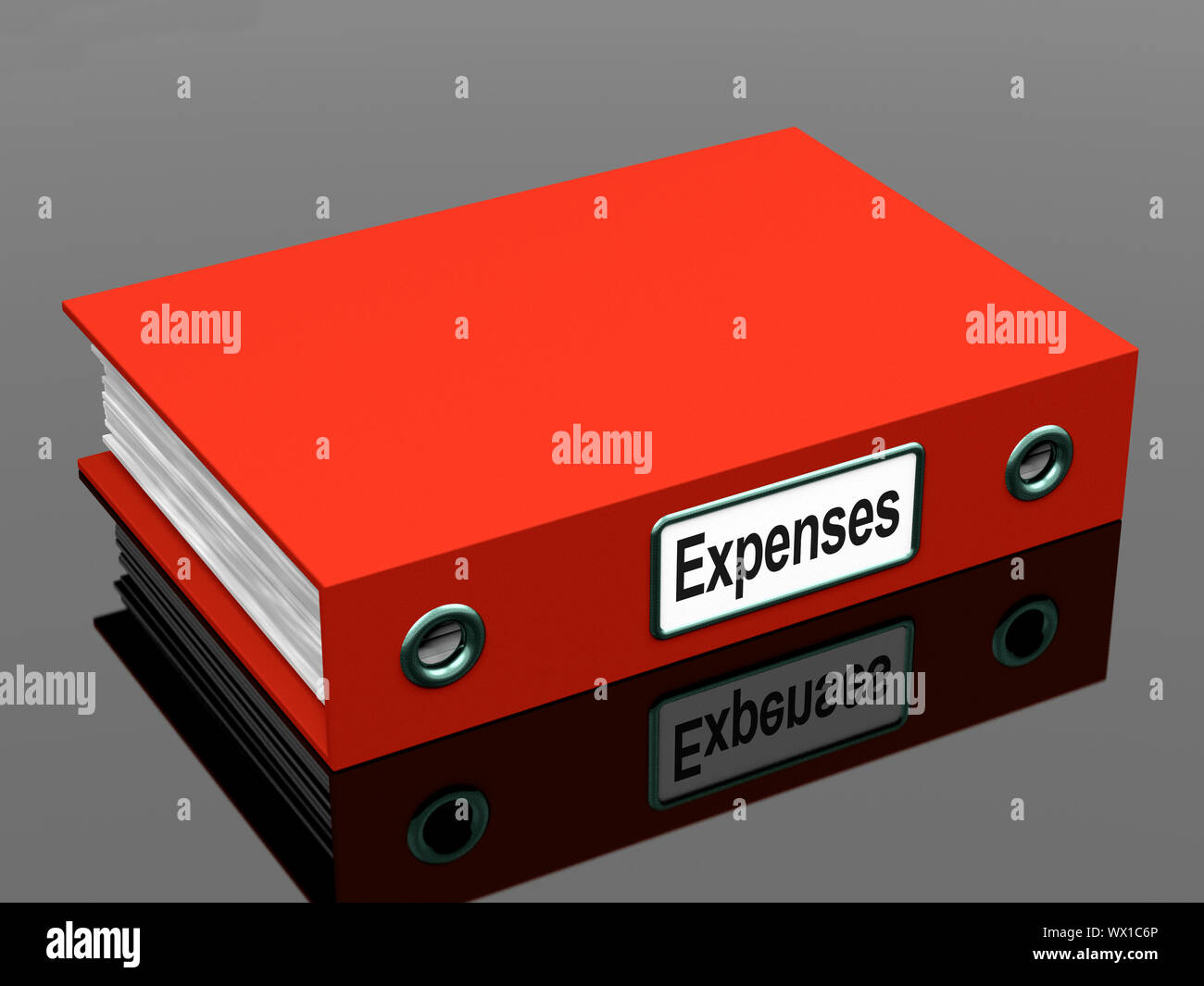 Expenses File Showing Accounting And Records Stock Photo - Alamy
