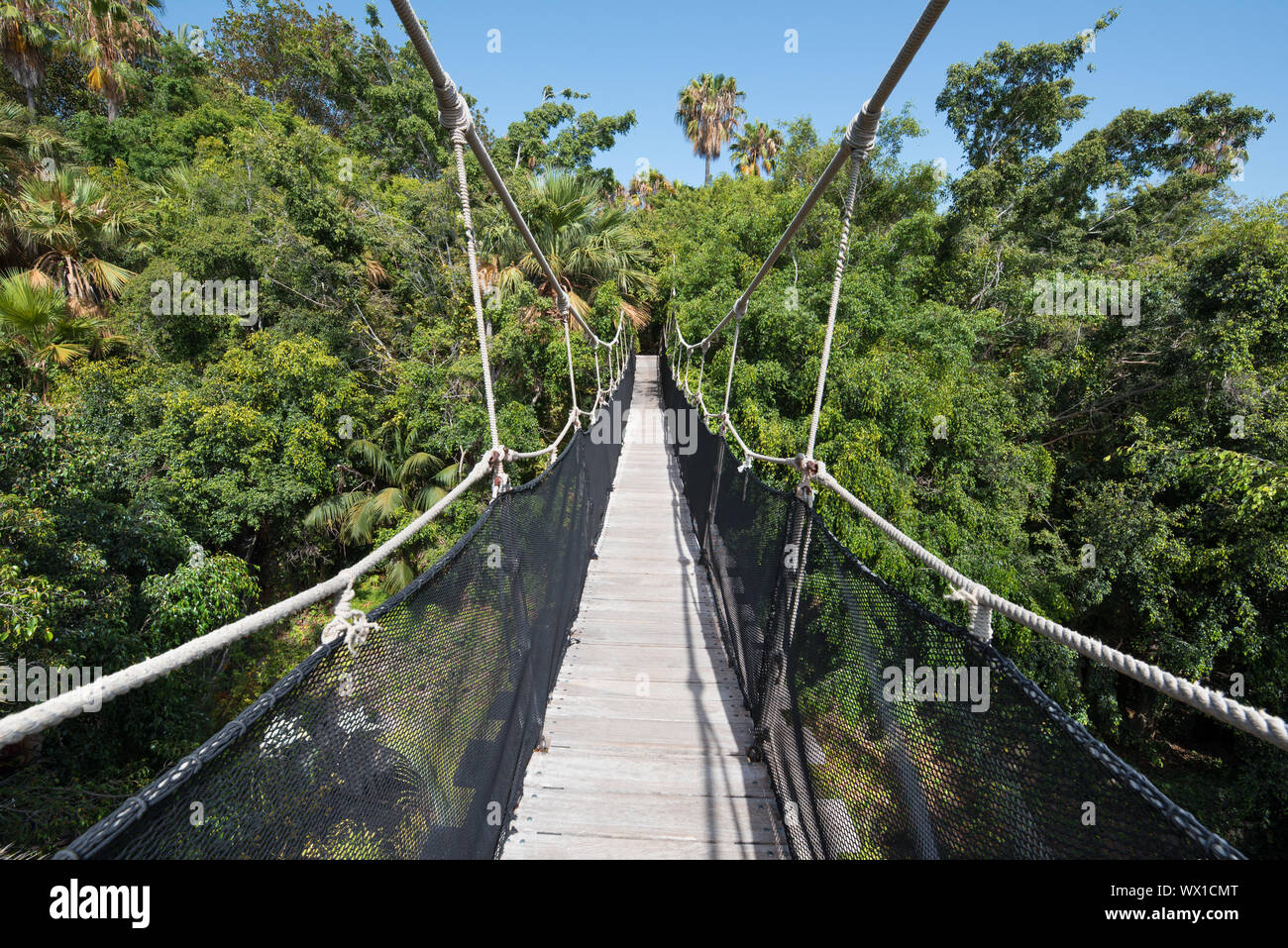 Footbridge suspended over tropical hi-res stock photography and images ...